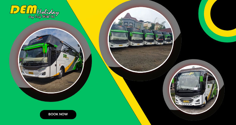 Bus Pariwisata Bandung Terbaik, Dem Holiday